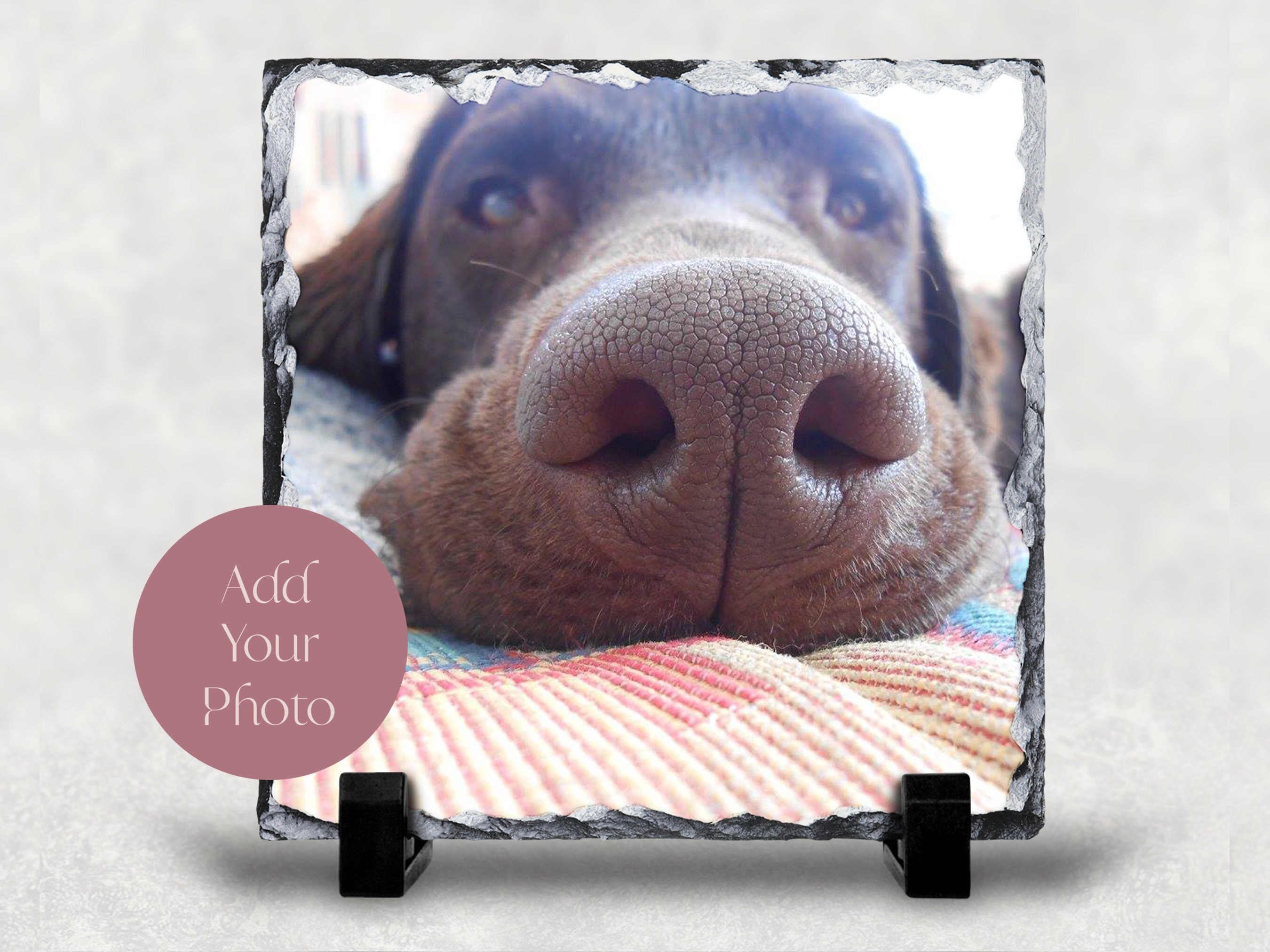 LIINDesigns – Welcome to LIIN Designs! The place where we turn your ...